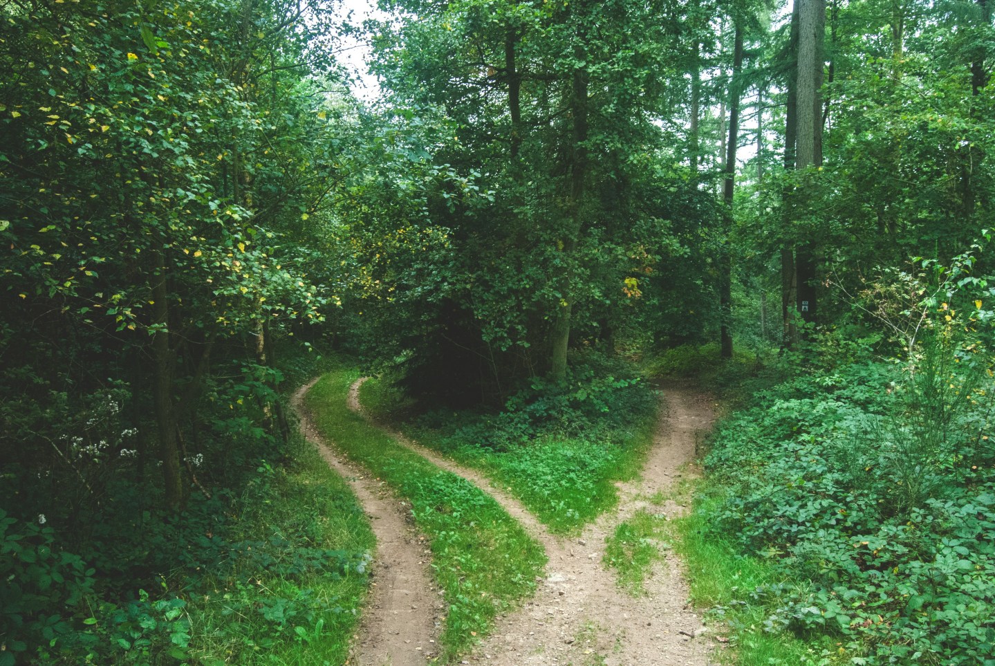 Different Students, Different Paths – The Autism College Connection